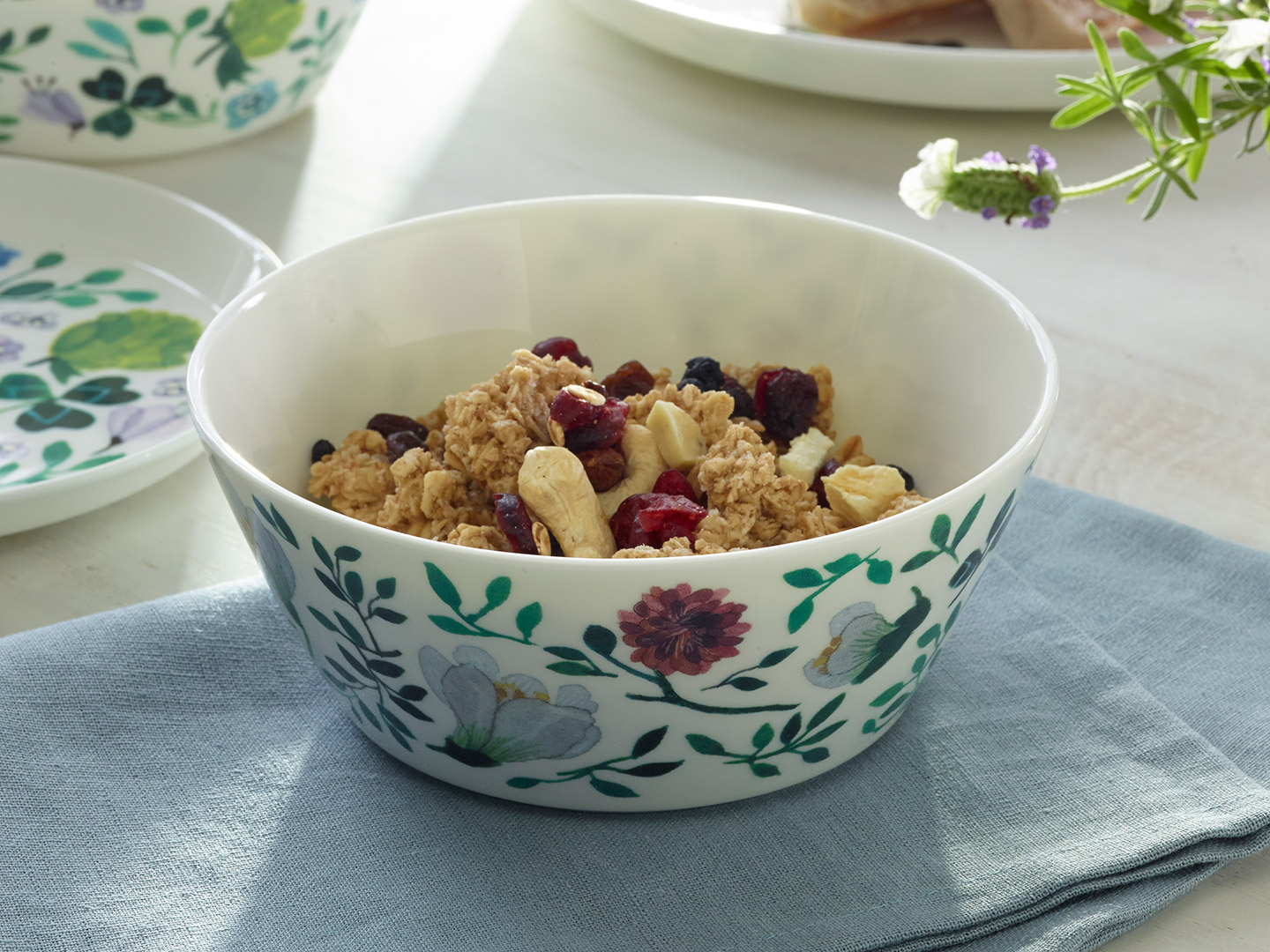 Master Dinner Plate Types: Shapes, Materials, Occasions, and More ...